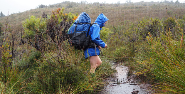 ONE PLANET products on display at National Gallery of Victoria - Great ...