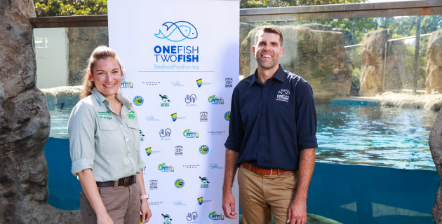 Seafood Positive launches OneFishTwoFish - Food & Drink Business