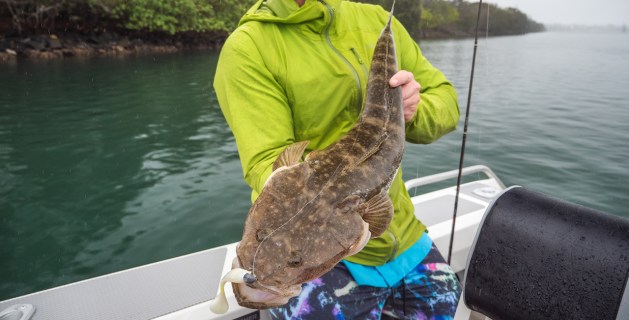 Monsters of the deep: How to catch big flathead in deep water - Fishing ...
