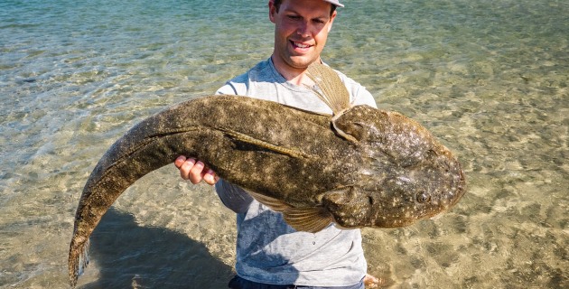 Monster flathead capture: biggest flathead caught in Australia ...