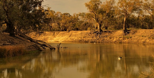 Barwon-Darling Water Resource Plan: Have your say! - Fishing World