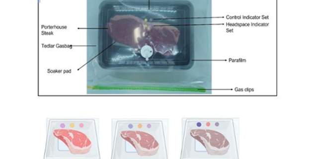 Smart meat label aims to replace use-by dates - PKN Packaging News