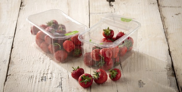 Rethinking packaging design for food waste reduction - PKN Packaging News