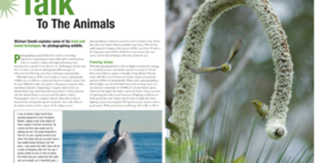 How to take creative animal shots - Australian Photography