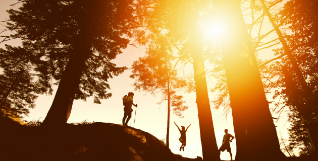 ‘Nature prescriptions’ deliver mental health benefits - Great Walks