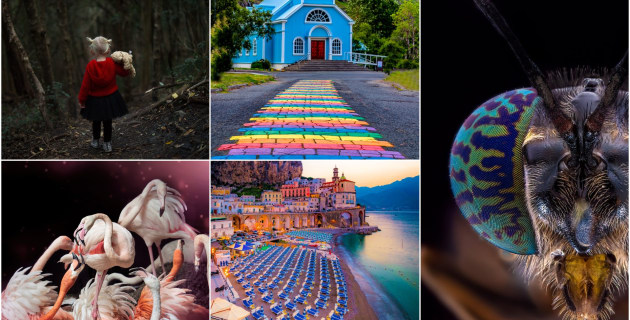 Who won our October 'Colour' photo comp? - Australian Photography