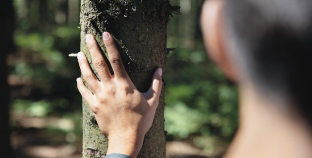 Tetra Pak earns EcoVadis Platinum rating - PKN Packaging News