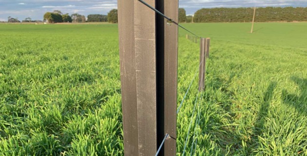 Plastic Forests recycles silage film into fence posts - PKN Packaging News