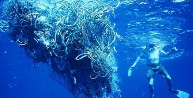 5 Gyres counts the plastic in our oceans - PKN Packaging News