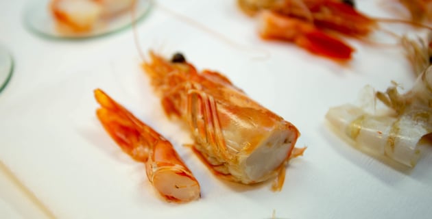 Tracking the Aussie prawn - Food & Drink Business