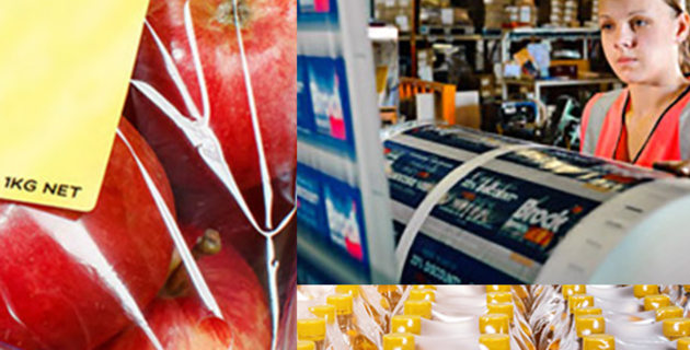 Pro-Pac returning to stable operating level - PKN Packaging News