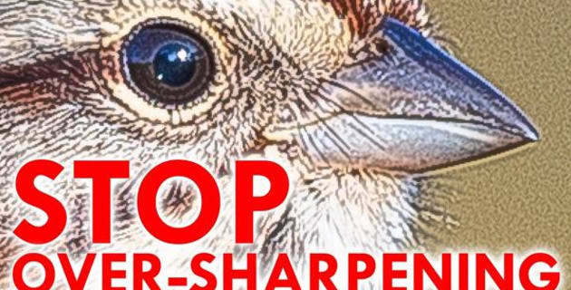 Video: How to sharpen your images correctly - Australian Photography