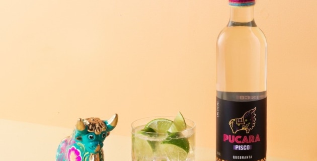 Pucara Pisco brings spirit of Peru to Australia - Food & Drink Business