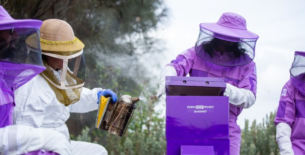 Purple Hive Project takes over Port of Melbourne - Food & Drink Business