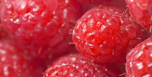 Asahi Beverages chooses Tassie berry supplier over imports - Food ...