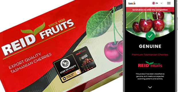 Reid Fruits turns to Laava for 4th season - PKN Packaging News