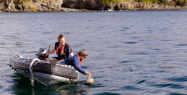 AMC to train RAN in autonomous robots - Australian Defence Magazine