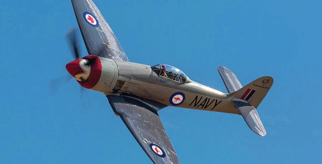 Paul Bennet to display Sea Fury at Shellharbour - Australian Flying