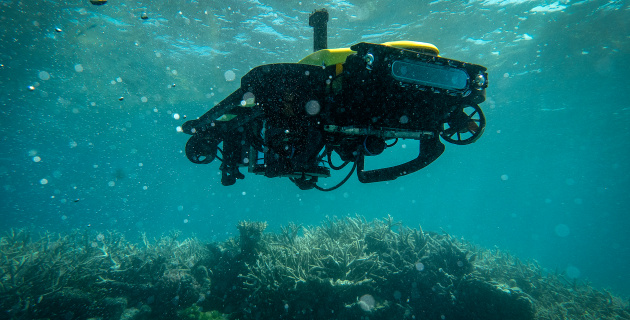 World-first autonomous marine systems course to run in Townsville ...