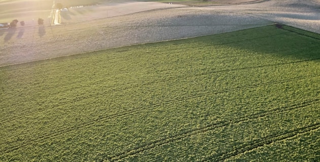 Simplot $100m plant upgrade, farm - Food & Drink Business