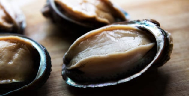 Abalone analysis revolutionises seafood tracing - Food & Drink Business