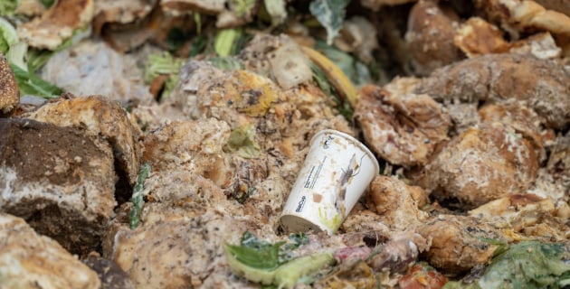 SA advances composting with new research - Food & Drink Business