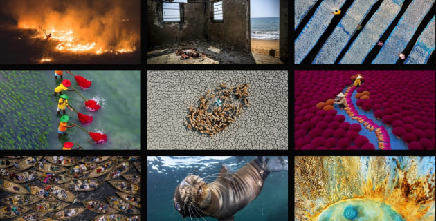 Environmental Photographer of the Year winners revealed - Capture magazine