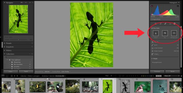 Video: A complete guide to masking in Lightroom - Australian Photography Video: A complete guide to masking in Lightroom - Australian Photography