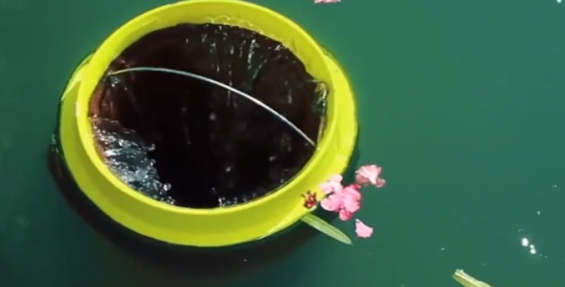 Sea bin a first for WA - Fishing World