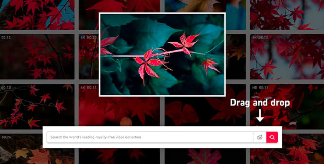 Shutterstock launches reverse image search for video - Australian ...
