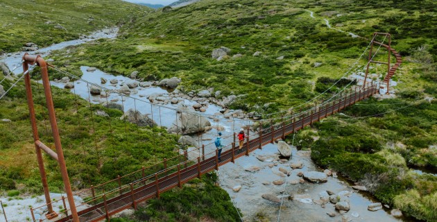 Great Walks praises the new Snowies Alpine Walk on ABC Radio - Great Walks