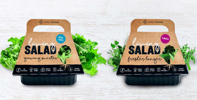 Living Salad sprouts fresh look - PKN Packaging News