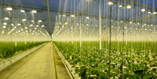 CBA launches green asset finance - Food & Drink Business