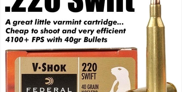 Speeding Up The .220 Swift - Sporting Shooter