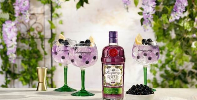 Tanqueray intros new Blackcurrant Royale range - Food & Drink Business