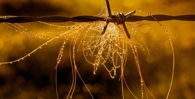Behind the Lens: Making the familiar strange - Australian Photography