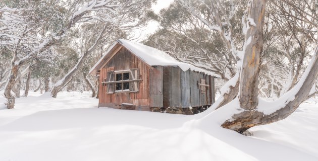 The chill factor: Tips for capturing Australia’s alpine regions (Part ...