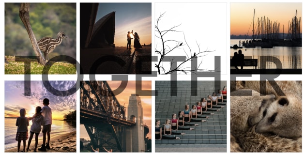 November free monthly photo competition: the results! - Australian ...