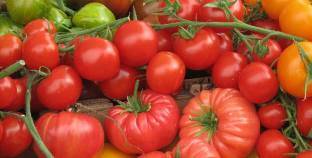 Researchers think red for can liners - PKN Packaging News