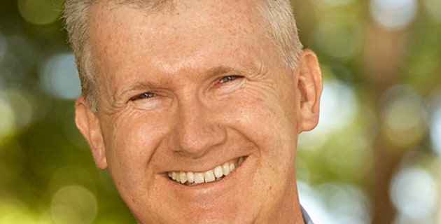 What has Labor pledged for the arts? - Dance Australia