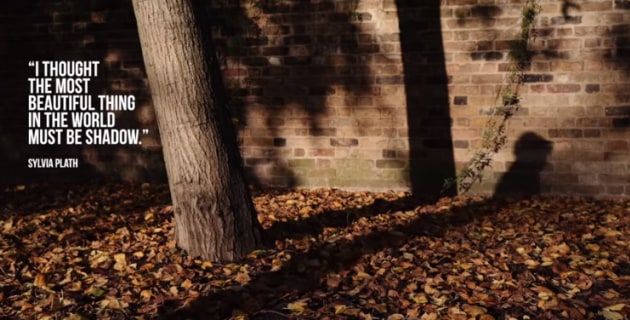 Video: Why you should embrace the shadows in your photography ...