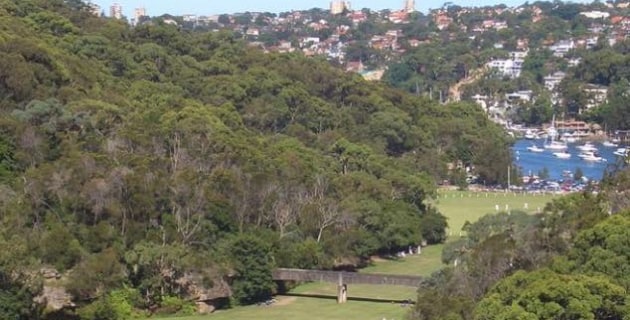 Have your say on Tunks Park Management Plan - Fishing World