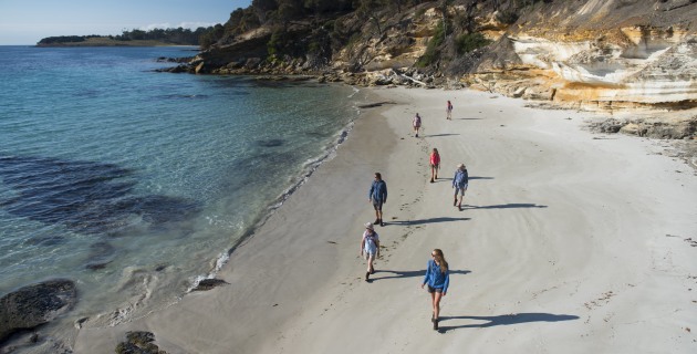 The Maria Island Walk reopening Oct 1 - Great Walks