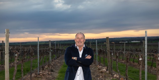 Randall Wine Group becomes SA's largest vigneron - Food & Drink Business