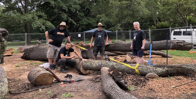 Honouring a fallen giant: The White Oak Project - Australian Wood Review