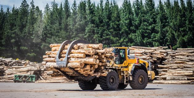 New Zealand pulp mill upgrades to Rockwell DCS - PKN Packaging News