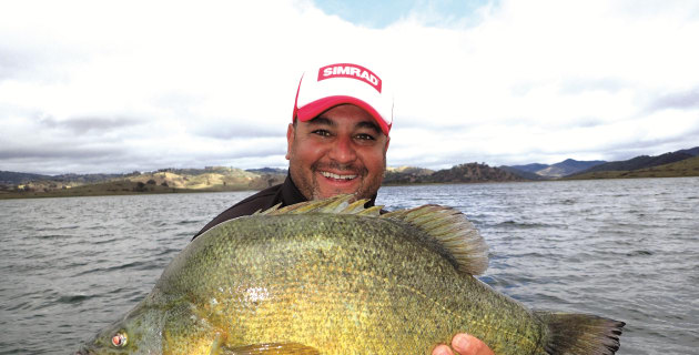 How to catch yellowbelly - Fishing World