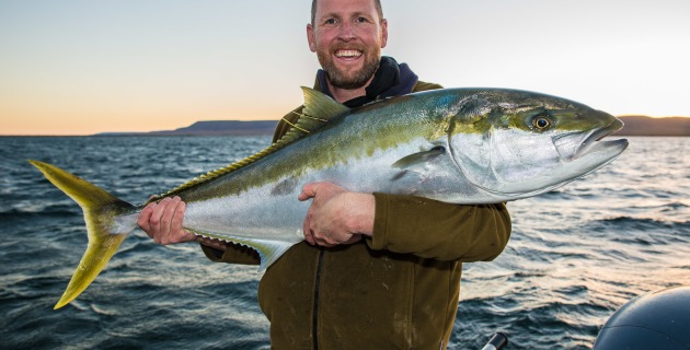 How to catch big yellowtail kingfish - Fishing World
