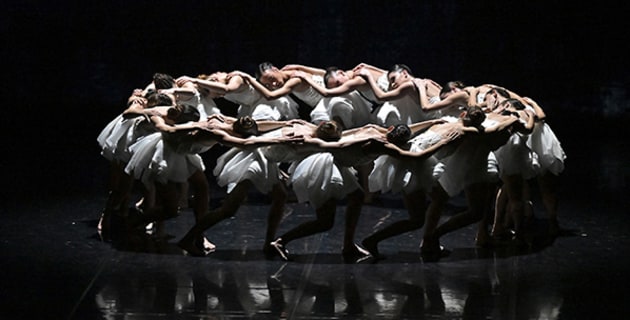 Ballet Preljocaj Returns with Swan Lake for QPAC’s 40th Anniversary ...