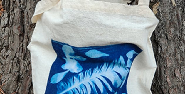 Make a cyanotype print tote bag | Return to nature workshop - Capture ...